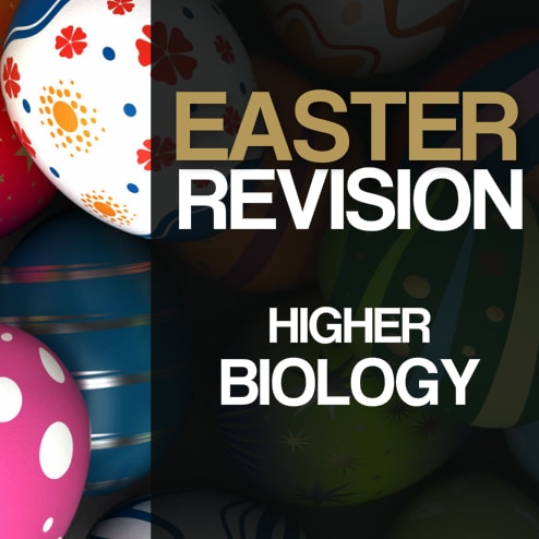 13:45 – 15:45 | Biology Higher Wk1 | Grade Booster Tutoring